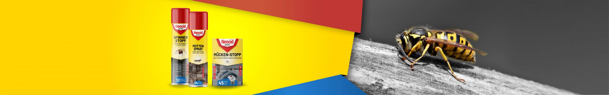 Neocid - Schädlingsbekämpfung | Insektenbestimmung | neocid.swiss